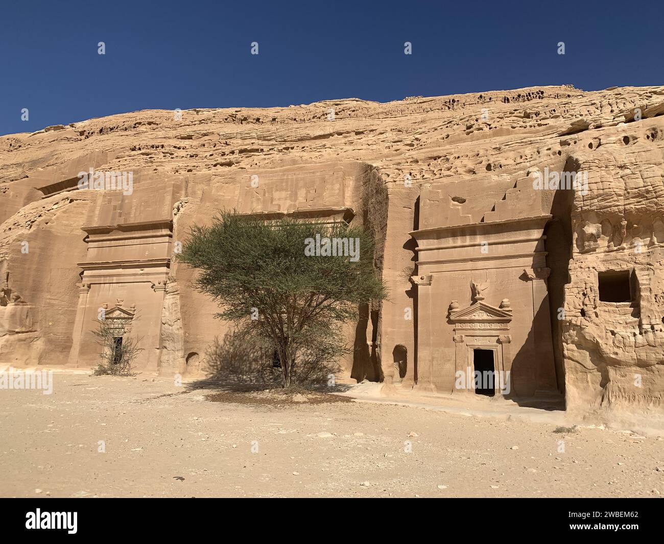 Explore alula hi-res stock photography and images - Alamy