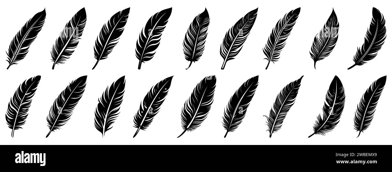 Various bird feathers hi-res stock photography and images - Alamy