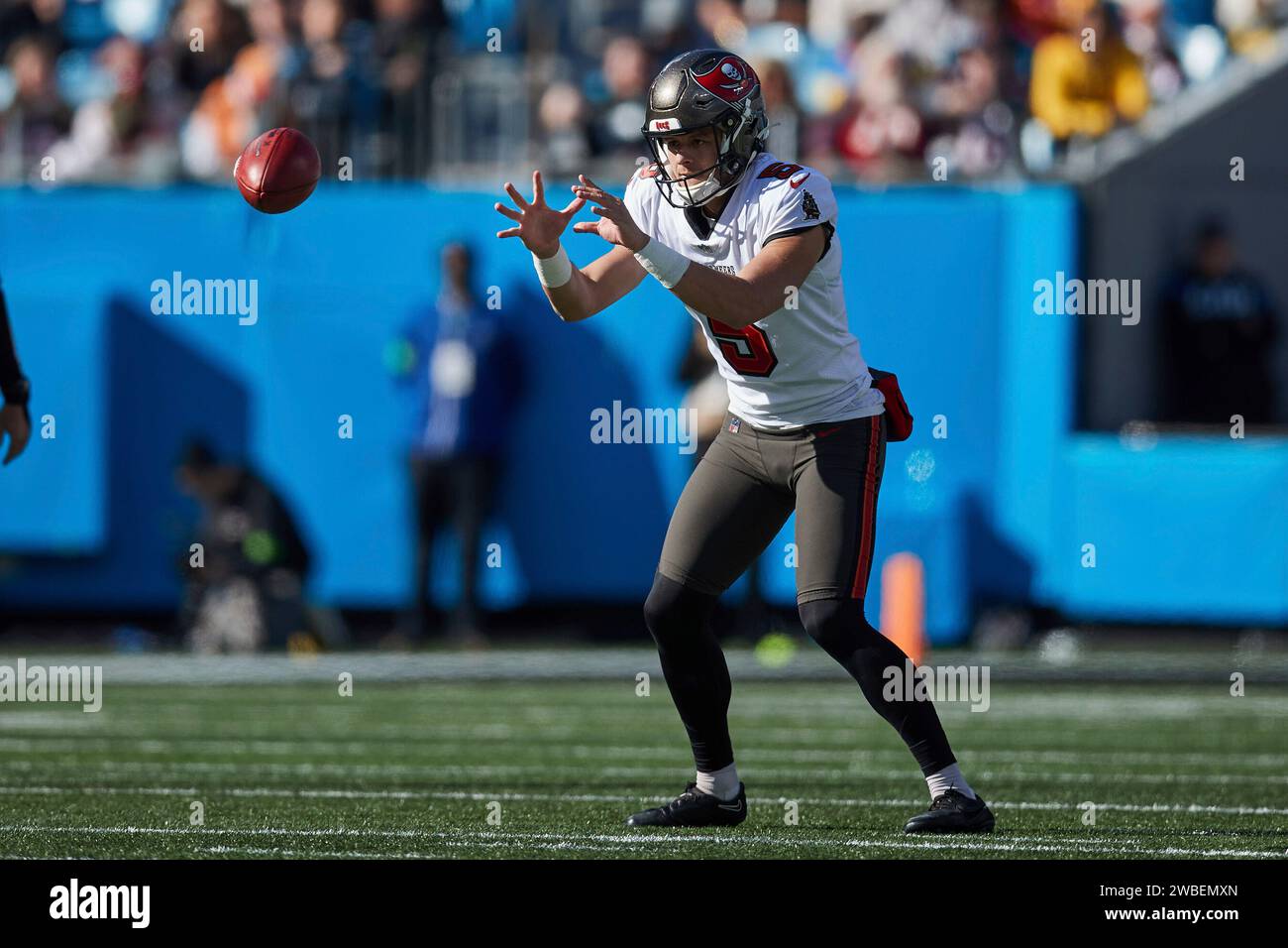 Tampa Bay Buccaneers punter Jake Camarda (5) receives the ball during ...