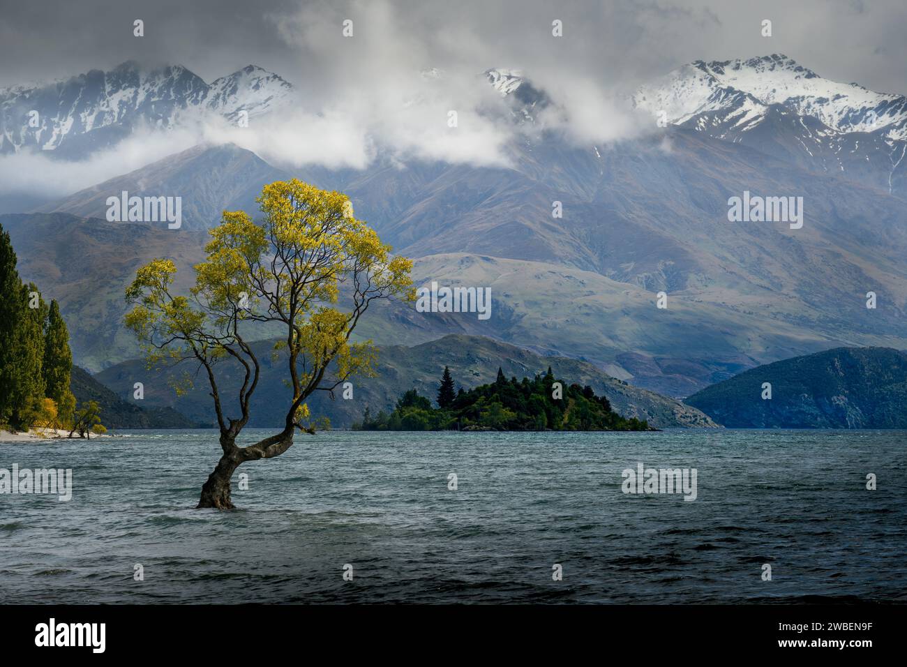 That Wanaka Tree. Lone tree in colourful leaf in lake, set against a ...