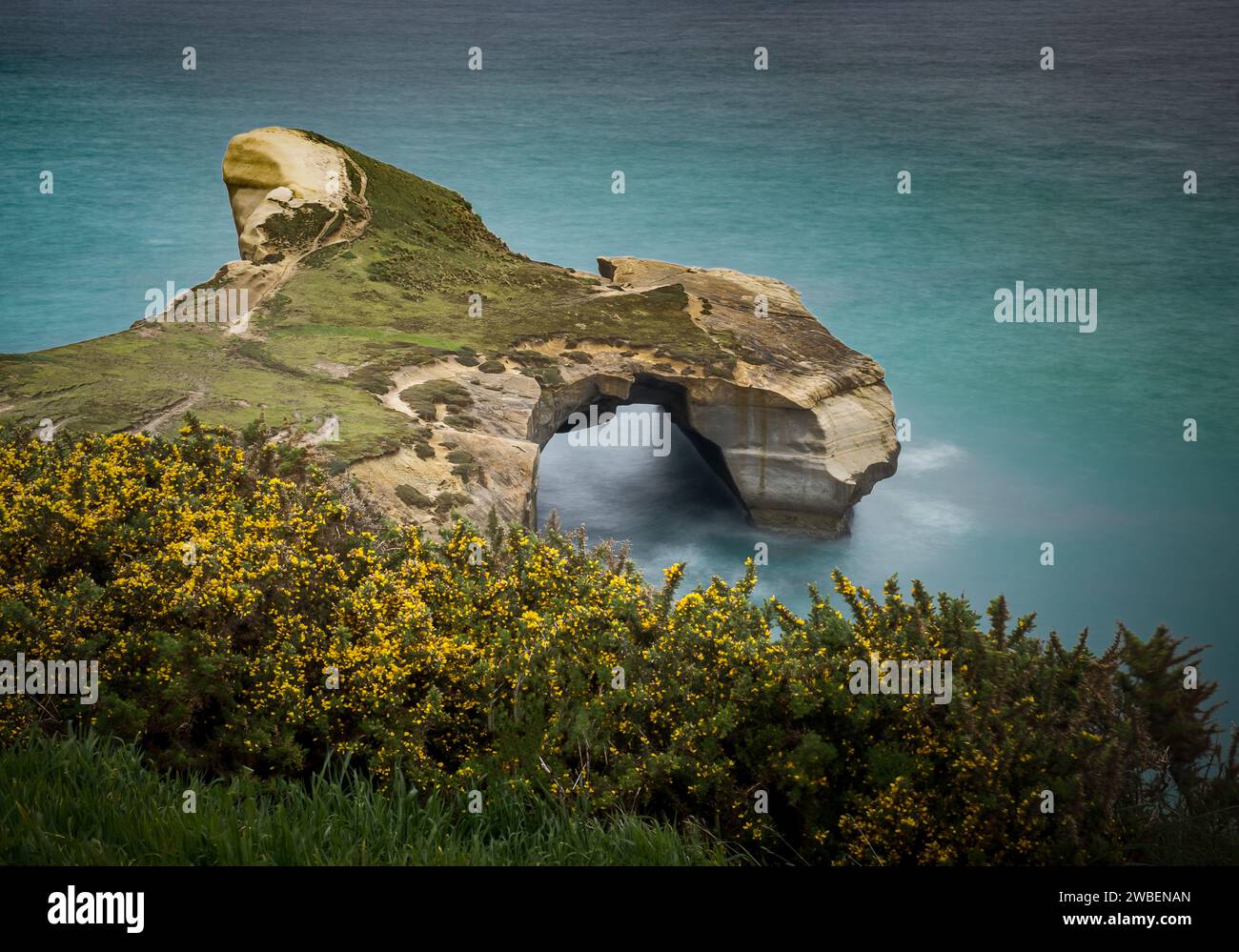 View downwards to rock outcrop on edge of the sea with sea arch. Yellow ...