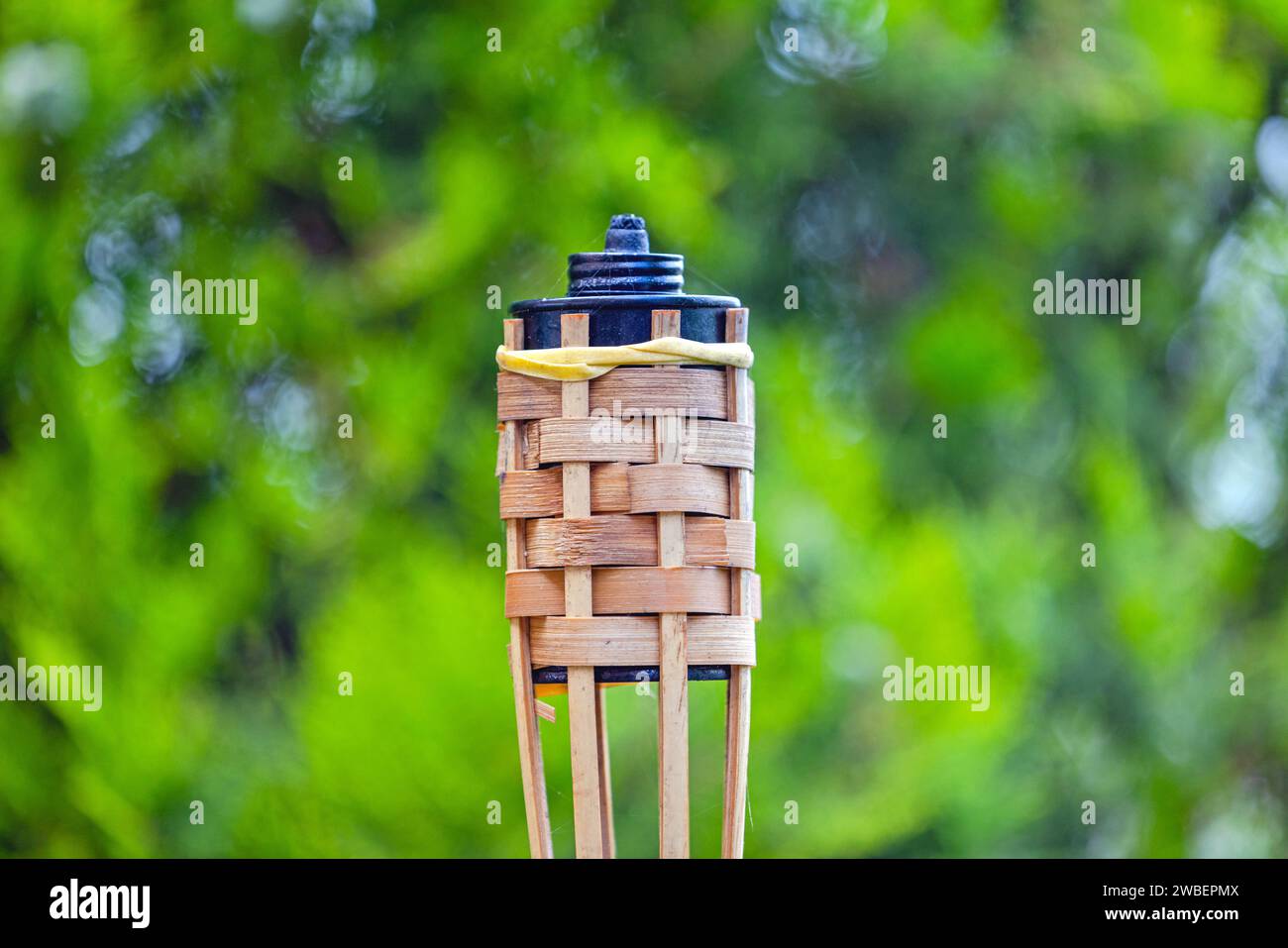 Outdoor Bamboo Stick Tiki Torch Citronella at Green Garden Stock Photo ...