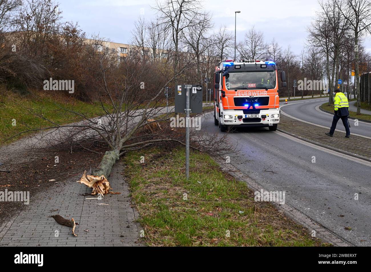 Leipzig - Audi kommt von B87 ab, fällt Baum und kracht in Elektrokasten - ein Schwerverletzter ...