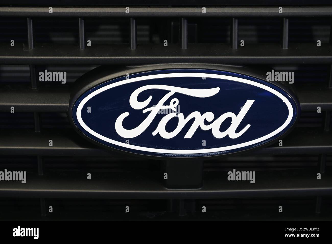 Logo, Schriftzug des Autohersteller FORD an einem Fahrzeug *** Logo ...