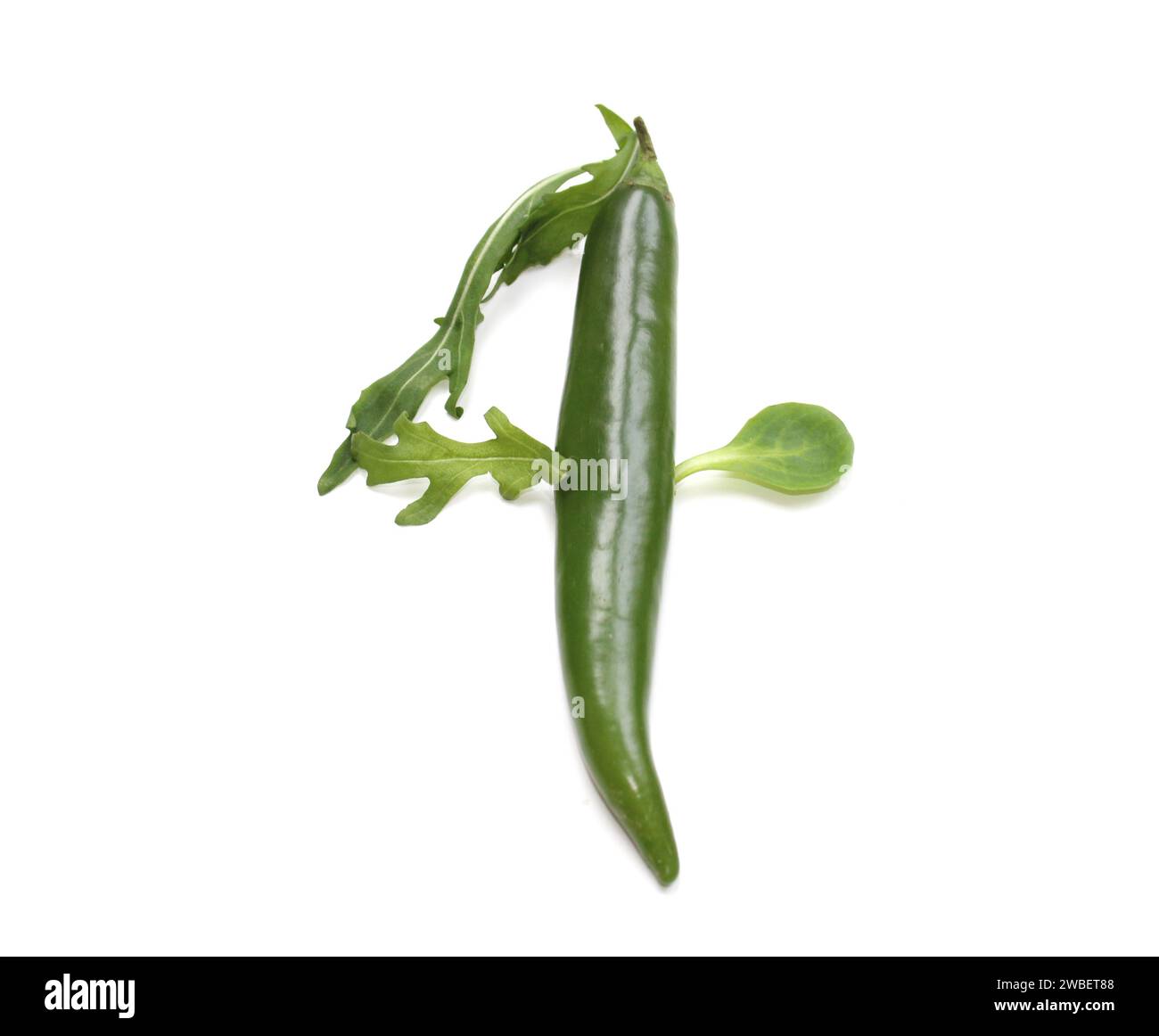 number 4, four from green chili pepper, salad for encyclopedias, cook ...