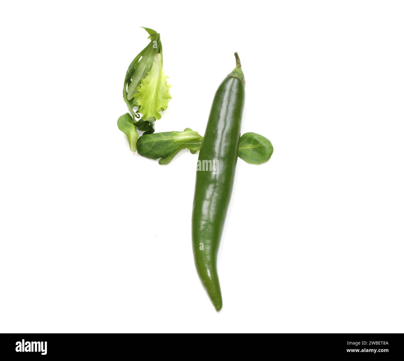 number 4, four from green chili pepper, salad for encyclopedia, cook ...