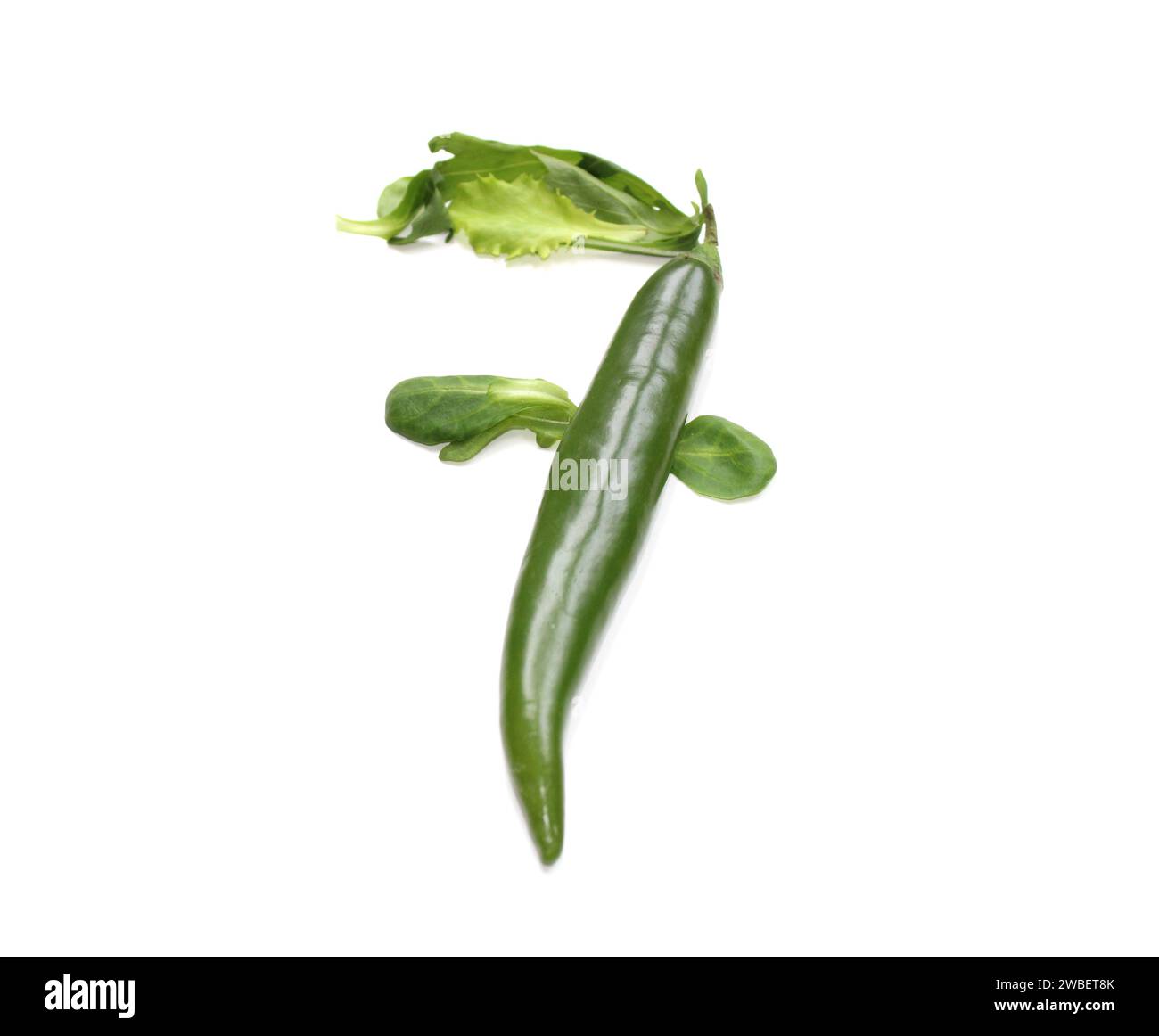 number 7, seven from green chili pepper, salad for encyclopedias, cook ...