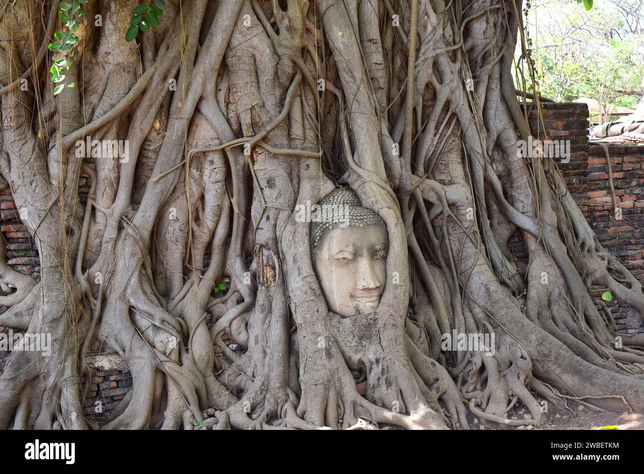 Ayutthaya Historical Park, Wat Mahathat buddhist temple (14th century ...
