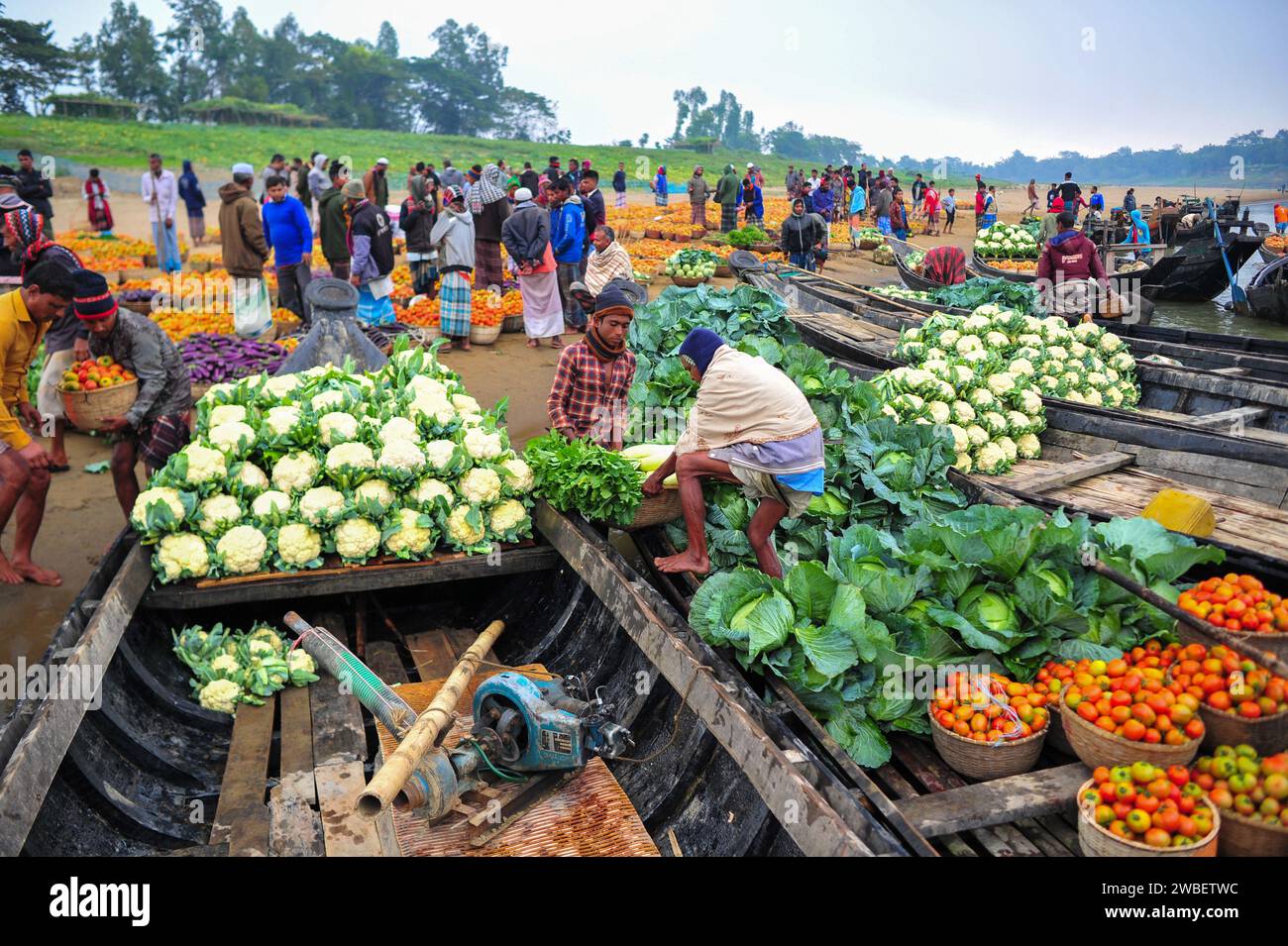 Sylhet-Bangladesh: 10 January 2024 Hundreds of farmers have come from ...