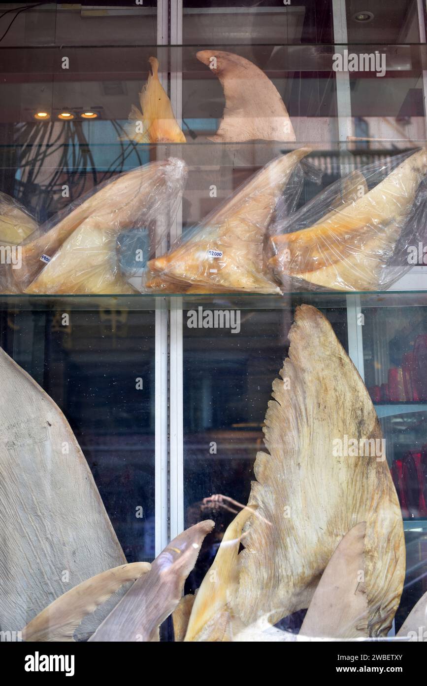 Market shark hi-res stock photography and images - Alamy