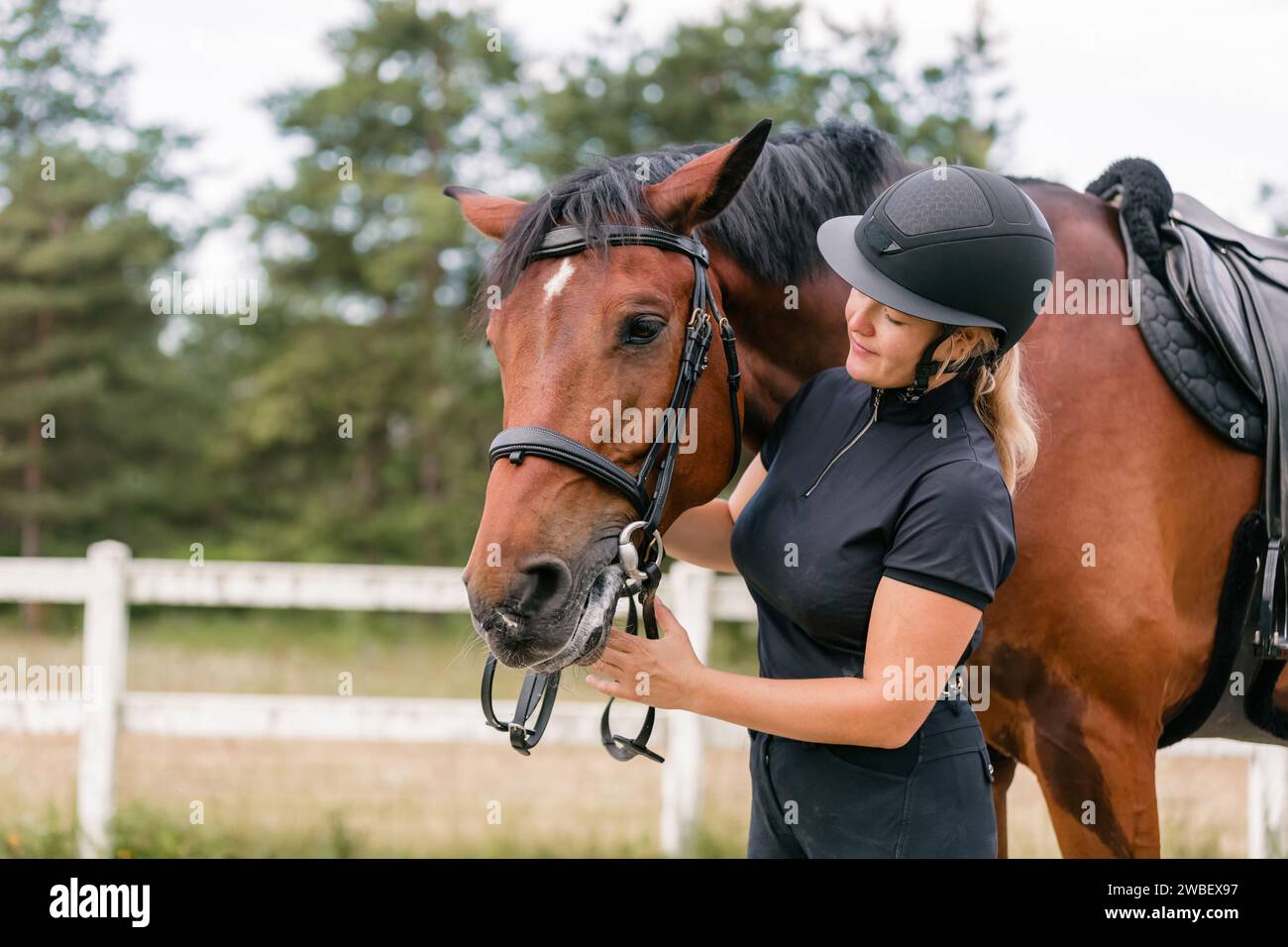 Female rider hand gently caressing beautiful thick red horse mane ...
