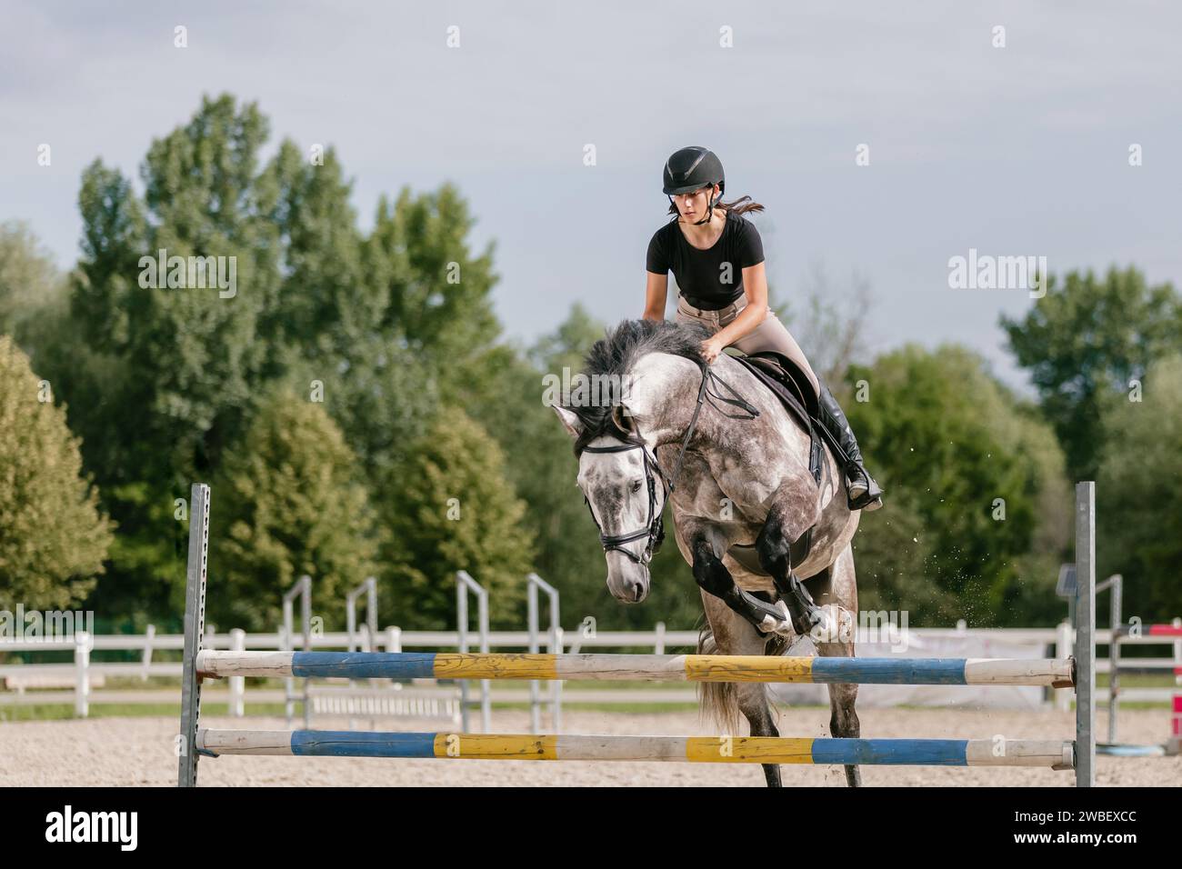 Girl on a dapple gray horse practicing jumping over a log fence in the ...