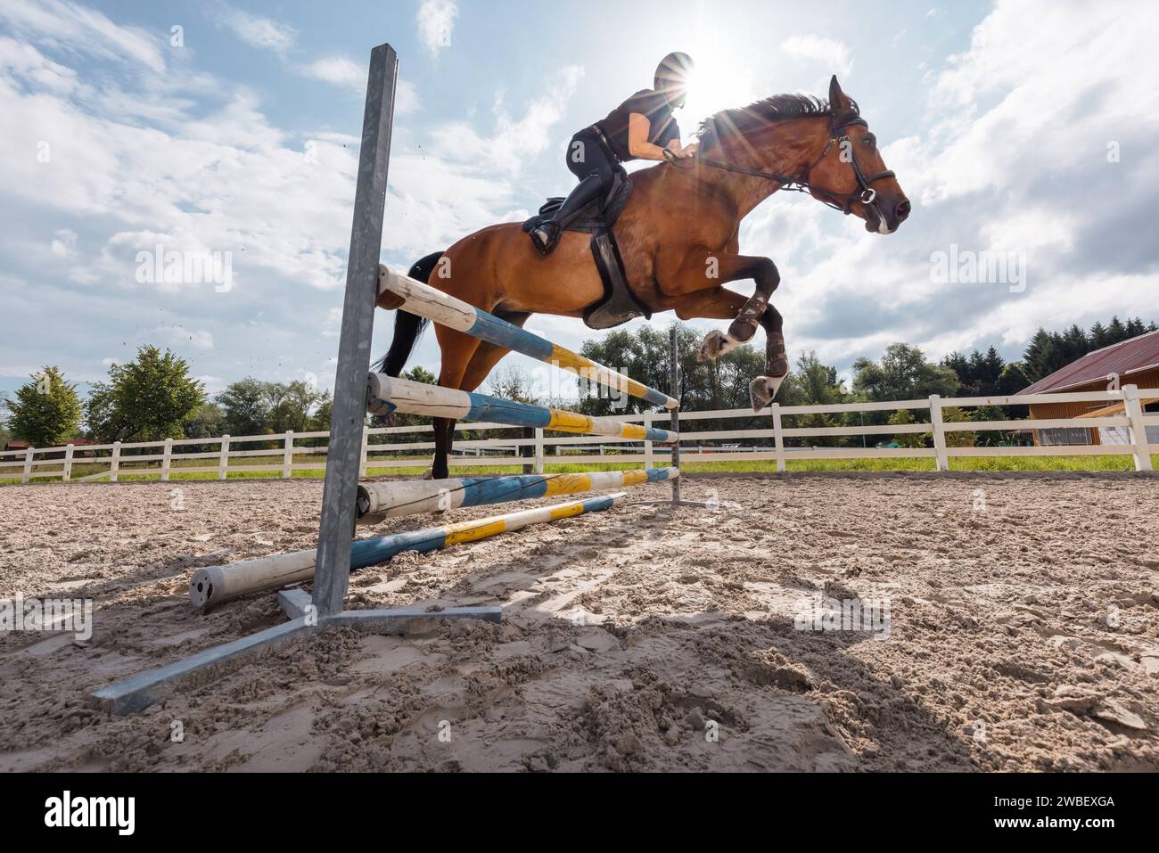Female horseback rider jumping over a hurdle, a log fence, during ...