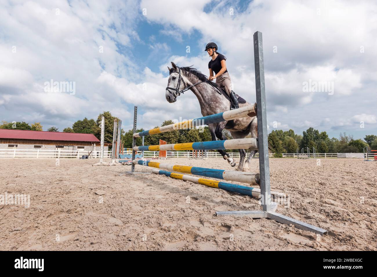 Girl on a dapple gray horse practicing jumping over a log fence in the ...
