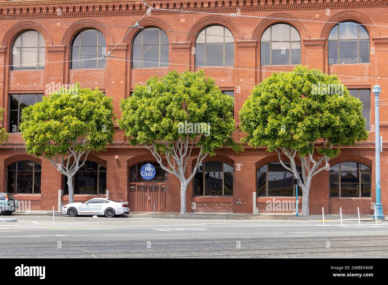 Street Ficus Trees In San Francisco, June 24, 2023 Stock Photo - Alamy