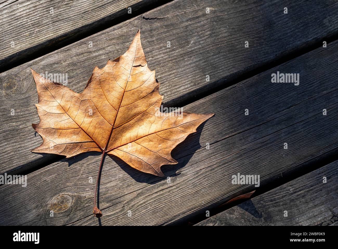 Slats at an angle hi-res stock photography and images - Alamy