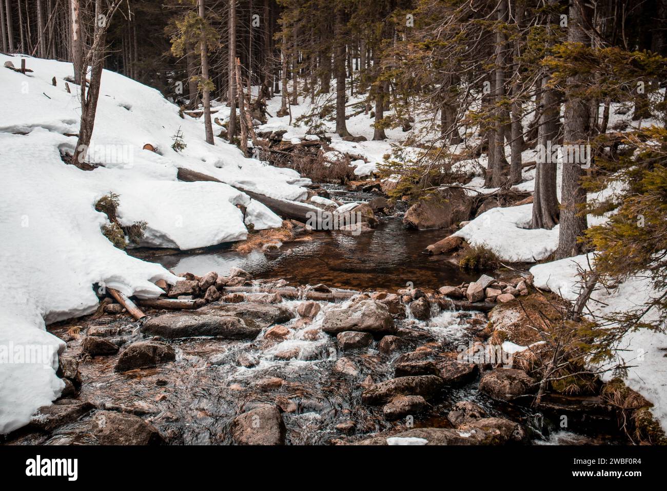 A serene winter creek flows through a snowy forest with rocks peaking ...