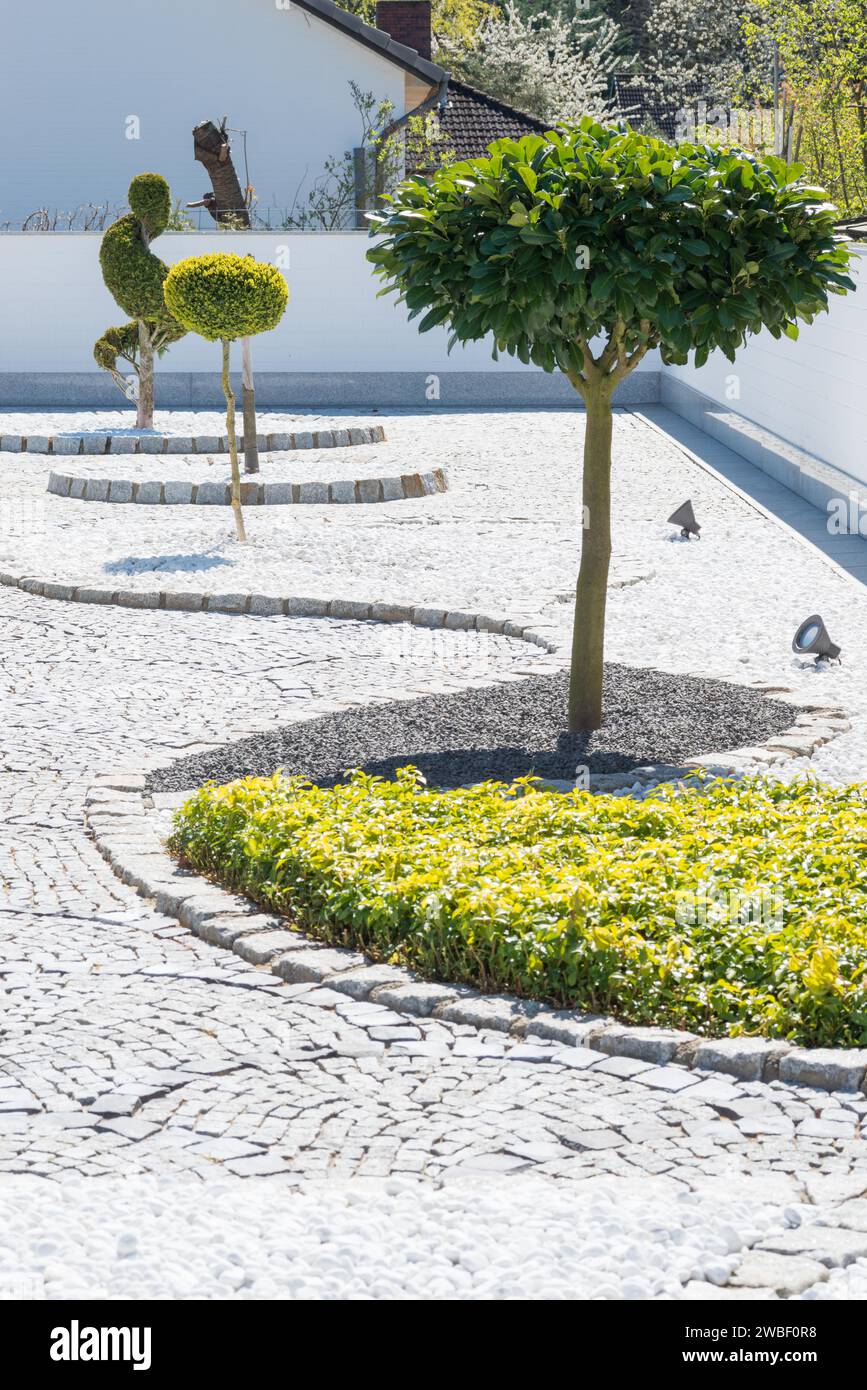 Modern garden with geometric shapes and spotlights, orderly garden with ...