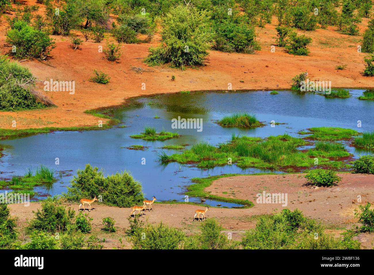 Zimbabwe, Matabeleland North province, Victoria Falls, Zambezi National ...