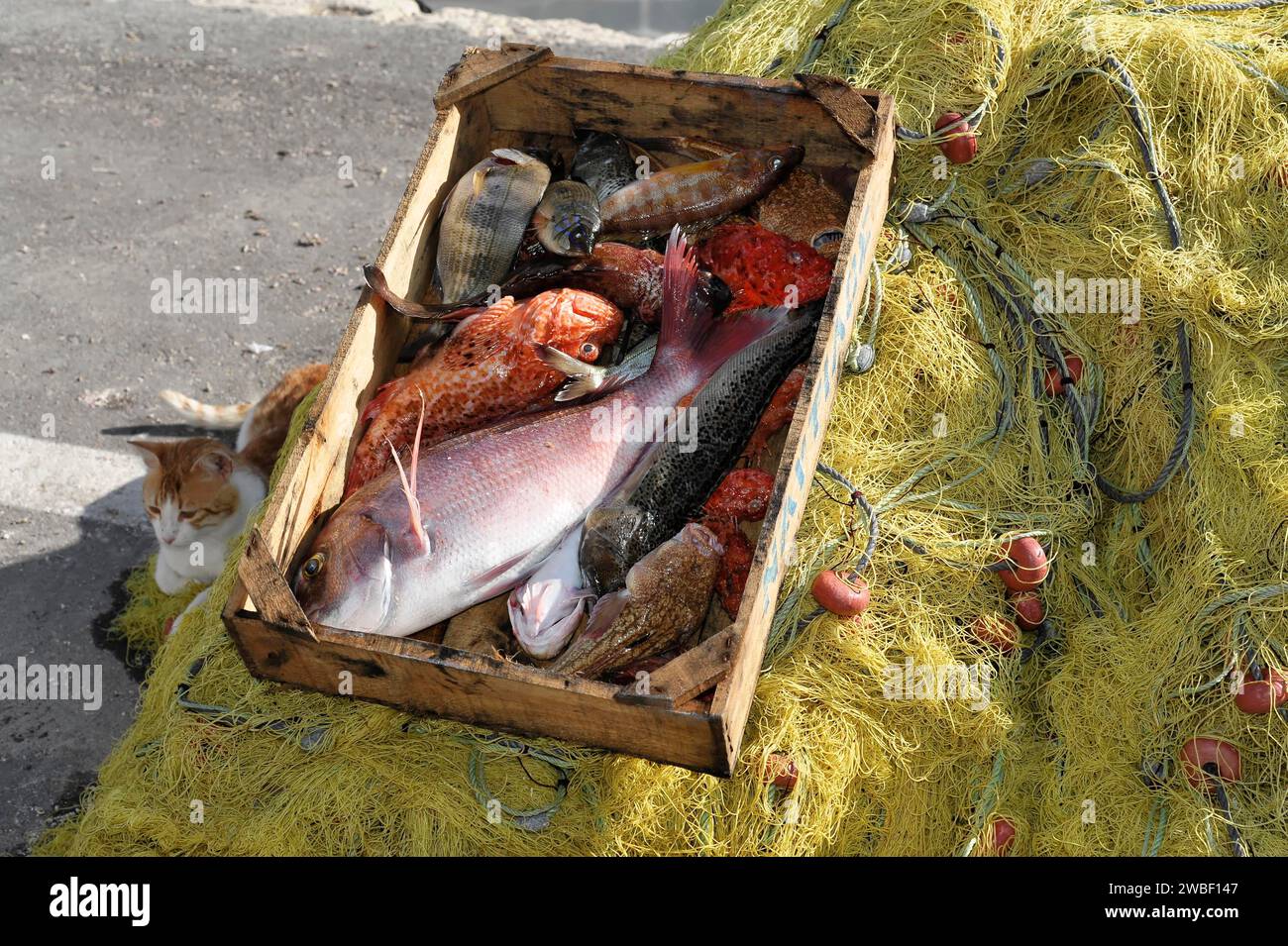 Nets and fishing at the Venetian harbour of Heraklion, island of Crete ...