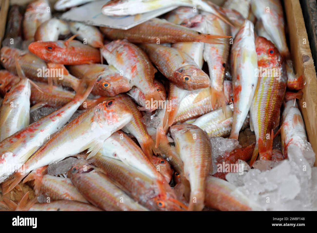 Fish, seafood at the Venetian harbour of Heraklion, island of Crete ...