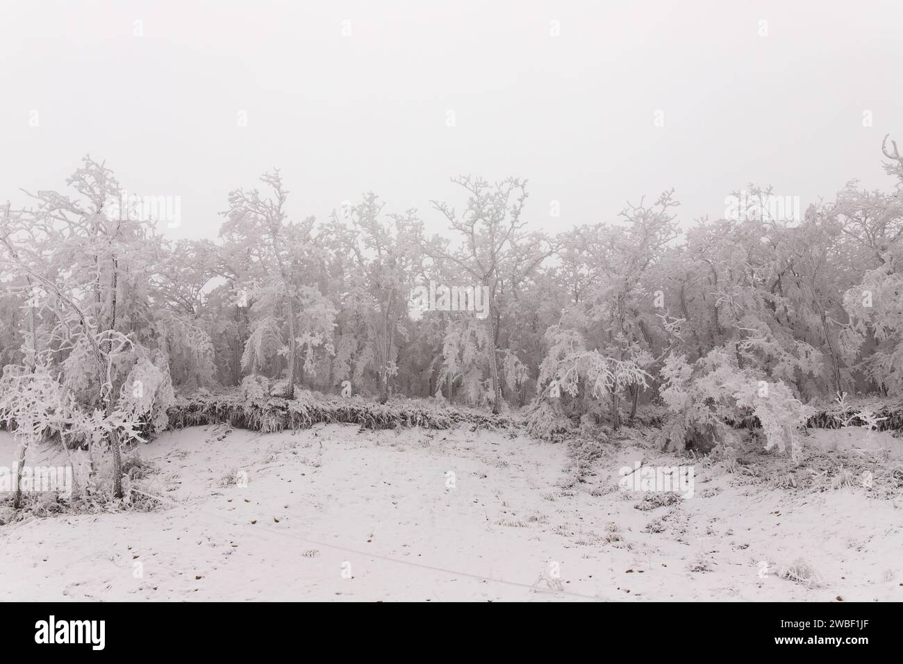 Snow white story hi-res stock photography and images - Alamy