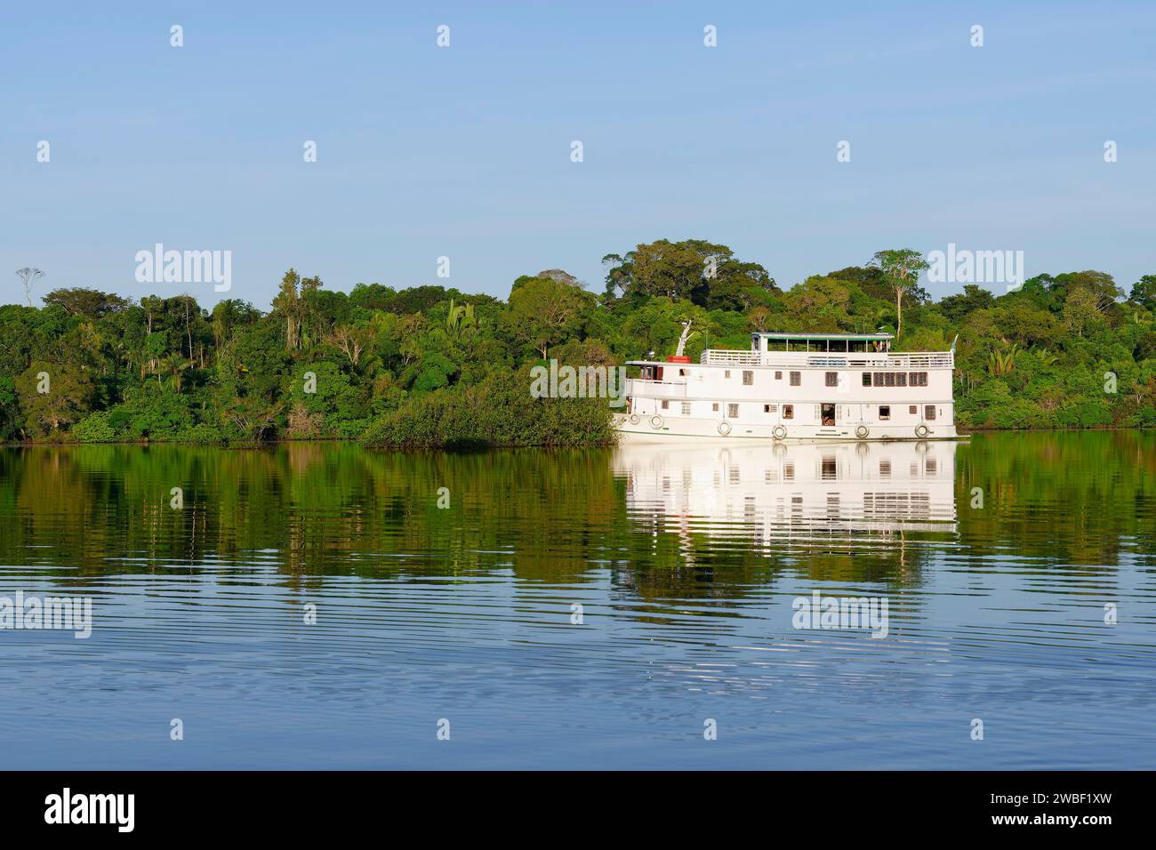 Traditional wooden boat navigating on the Madeira River, Amazonas State ...
