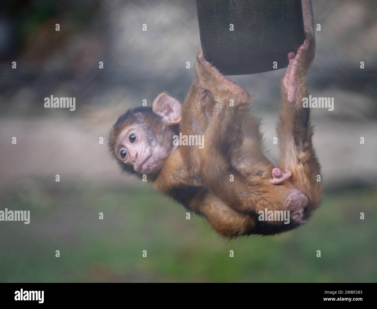 Camera captures hi-res stock photography and images - Alamy