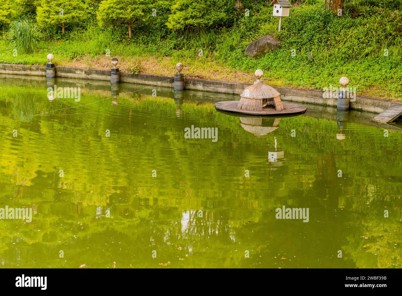 Straw duck house floating at edge of pond and birdhouse in background ...