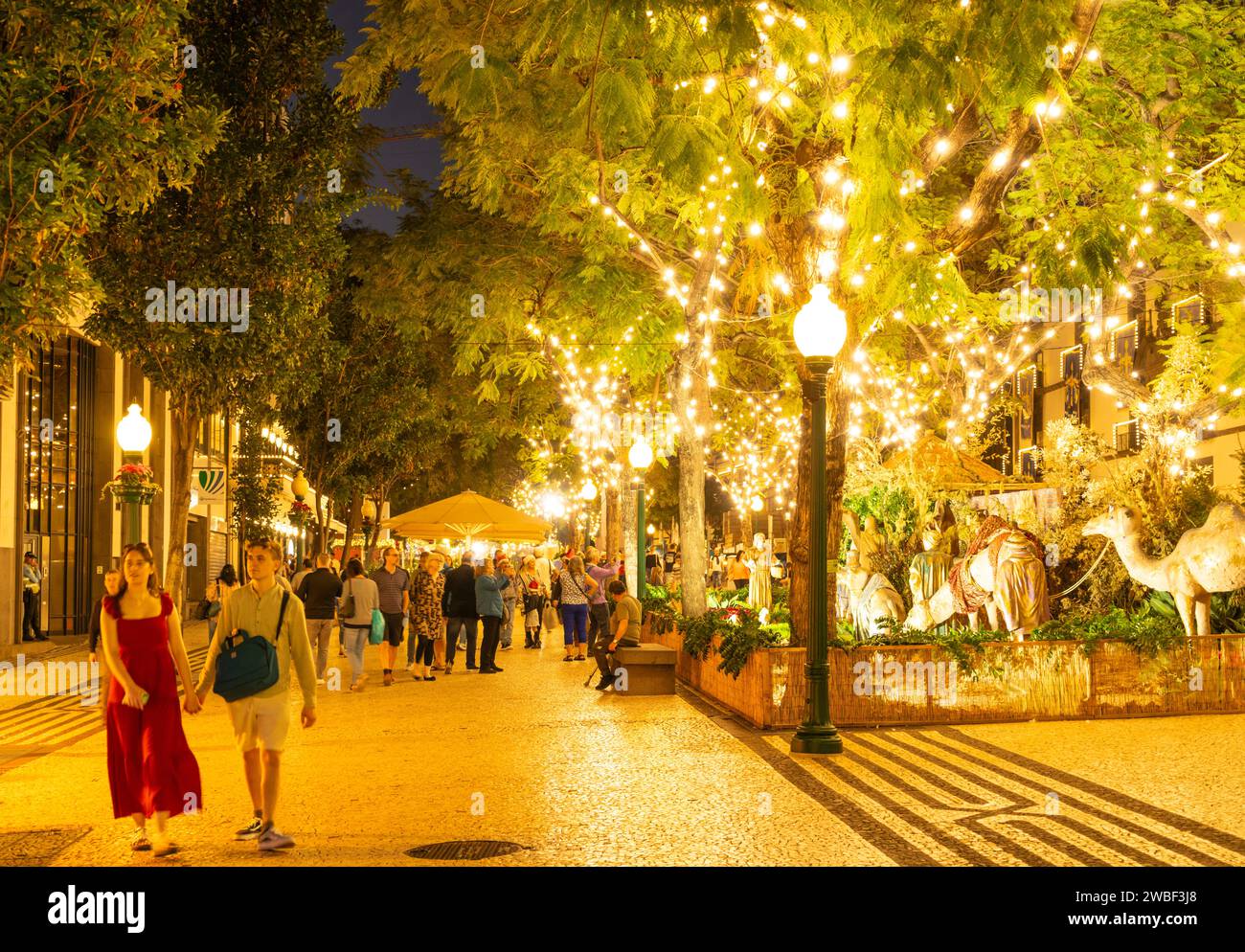 Madeira Funchal Madeira Promenade Street cafe and Trees decorated with ...