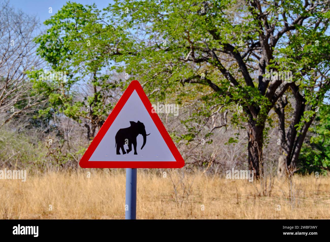 Zimbabwe, Matabeleland North, province, Hwange national park, warning ...