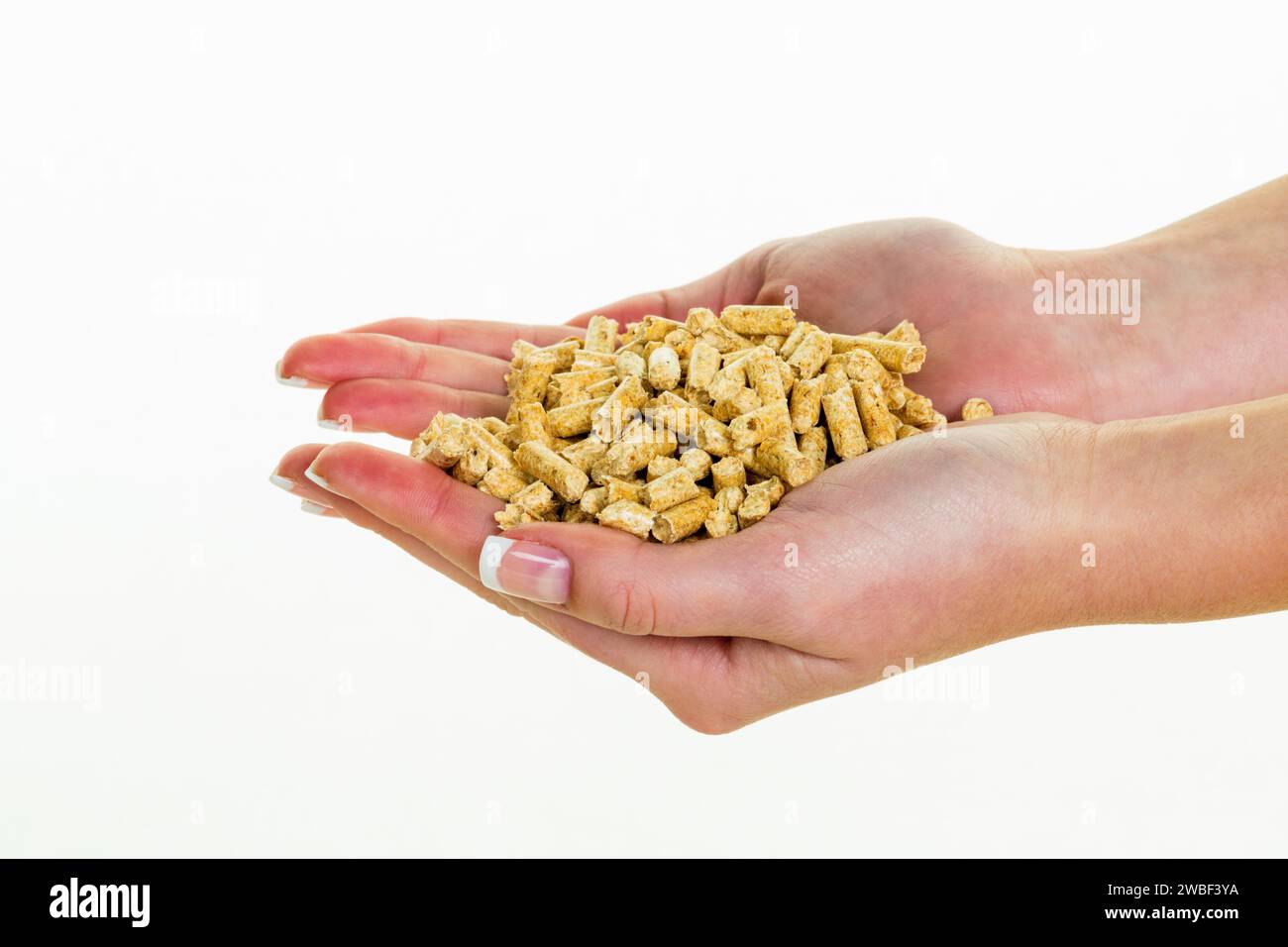 Pellets, Sustainable heating, Firewood, Fuel Stock Photo - Alamy