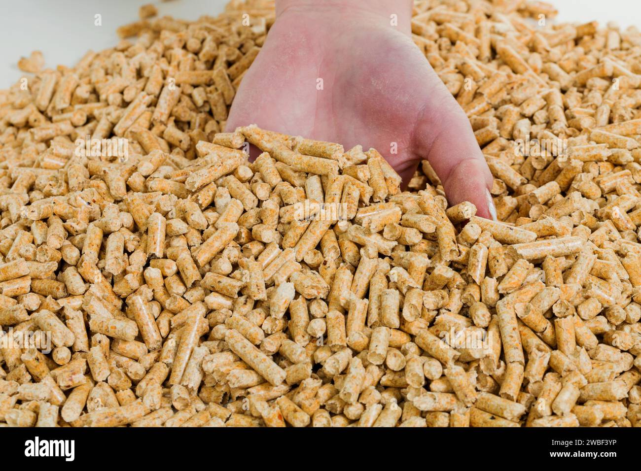 Pellets, Sustainable heating, Firewood, Fuel Stock Photo - Alamy