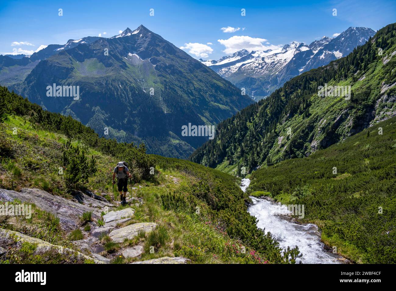 Mountaineer on a hiking trail by a stream, Berliner Hoehenweg, summit ...