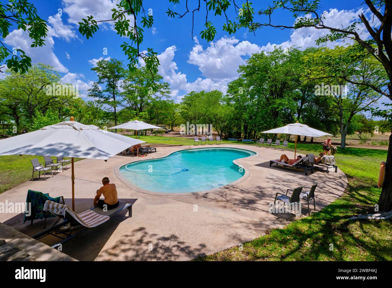 Zimbabwe, Matabeleland North, province, Hwange national park, Robins Camp Stock Photo - Alamy
