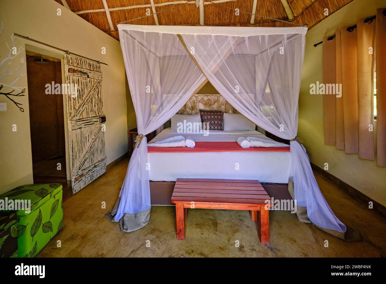 Zimbabwe, Matabeleland North, province, Hwange national park, Robins ...