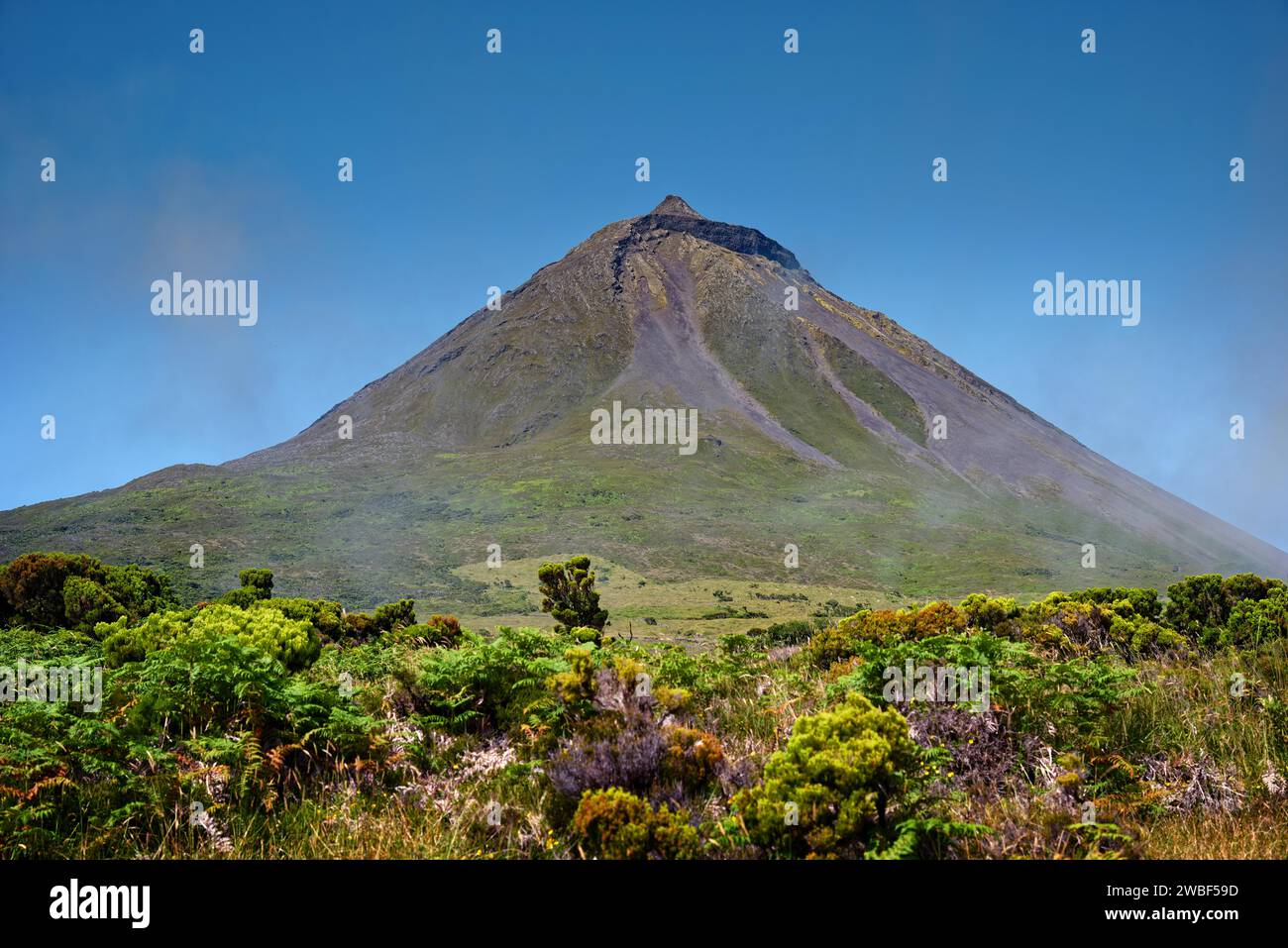 The picturesque Pico volcano rises up in a green landscape, Highlands ...