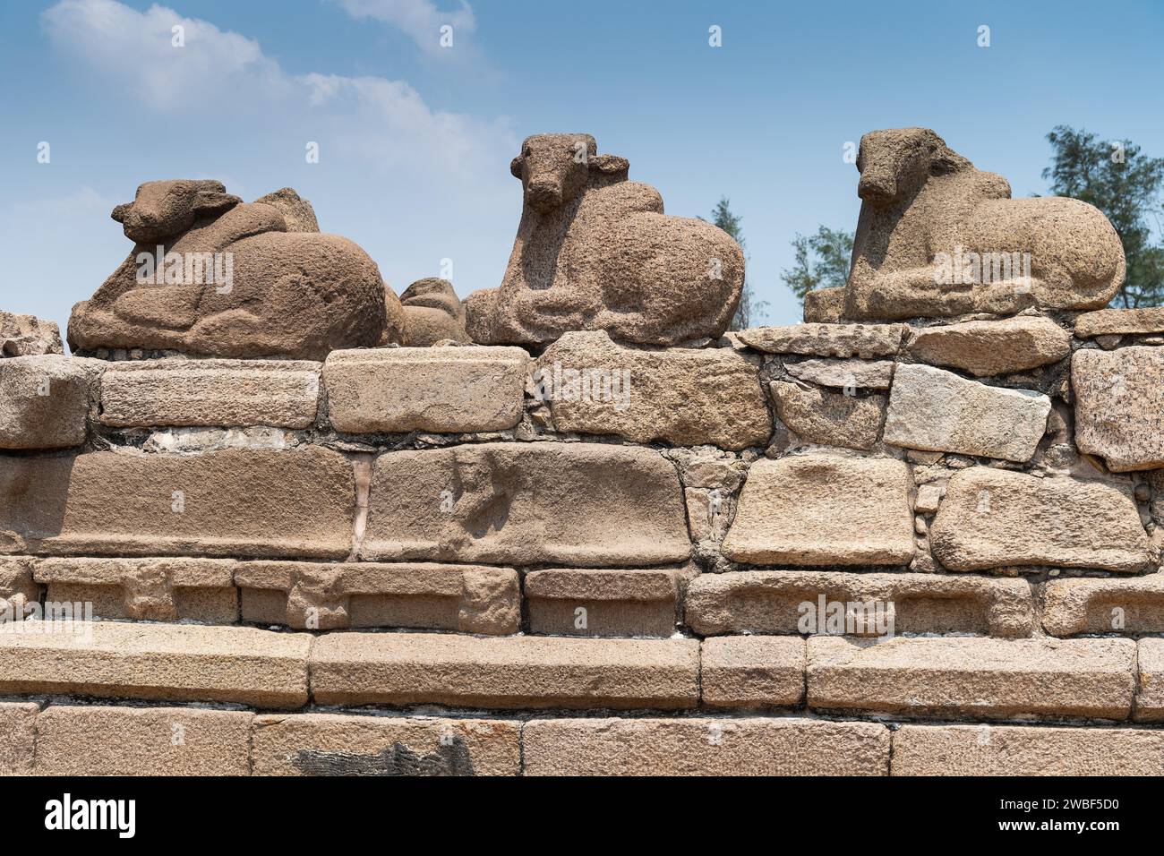 Nandi or Shiva's mount, consecrated Shore temple, UNESCO World Heritage ...