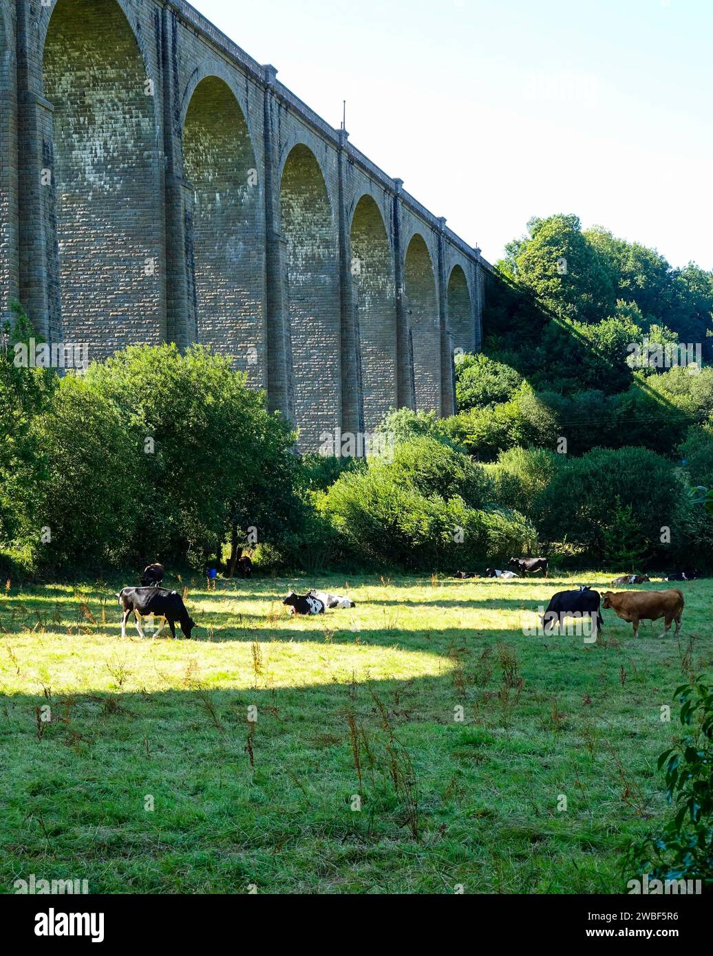 Daoulas viaduct over the Mignonne valley on the railway line between ...
