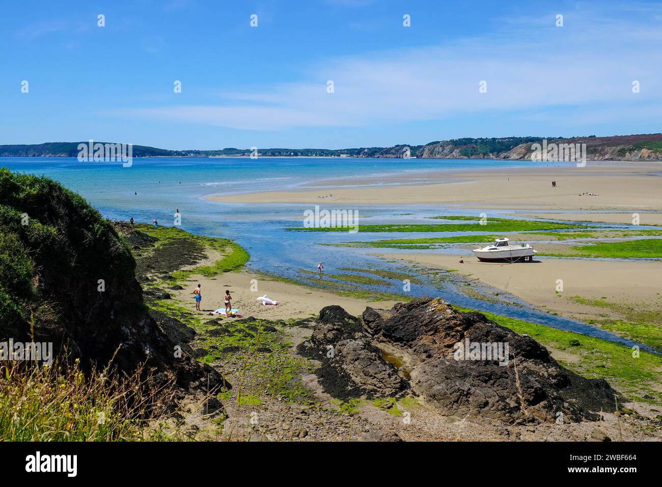 Sandy beach beach Plage de l'Aber with green algae in the Anse de ...