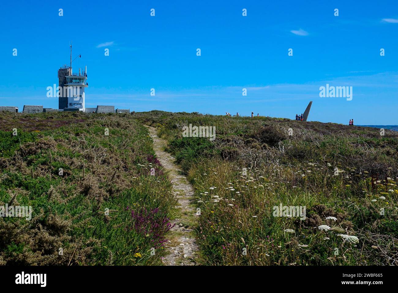 Heath landscape on the Cap de la Chevre, lighthouse, Crozon peninsula ...