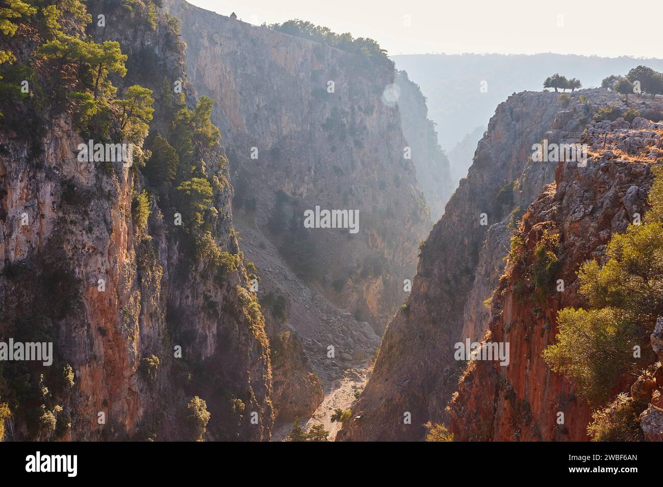 Deep view into a wooded gorge penetrated by gentle sunbeams, Aradena ...