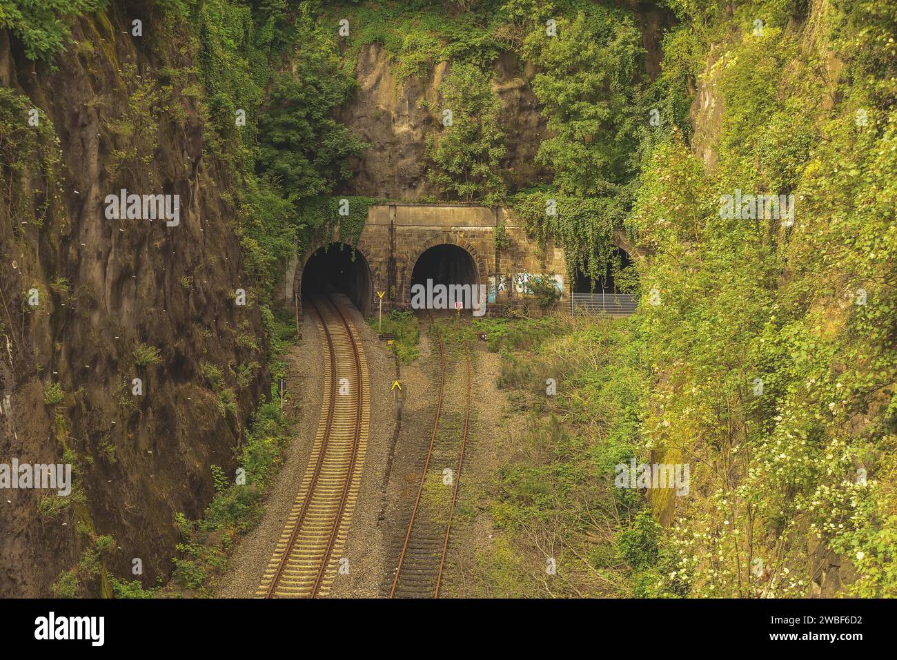 Overgrown railway track hi-res stock photography and images - Alamy