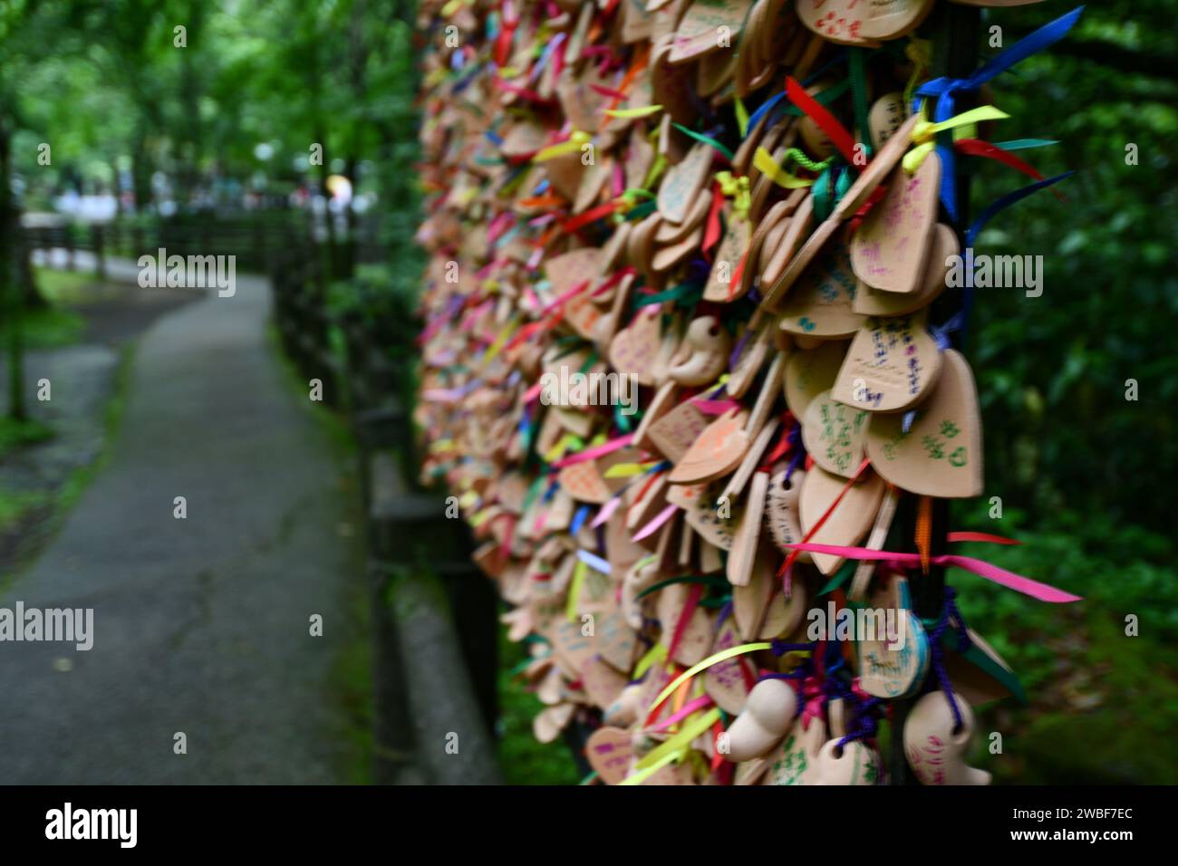 This wall is adorned with a collection of wooden plaques adorned with ...