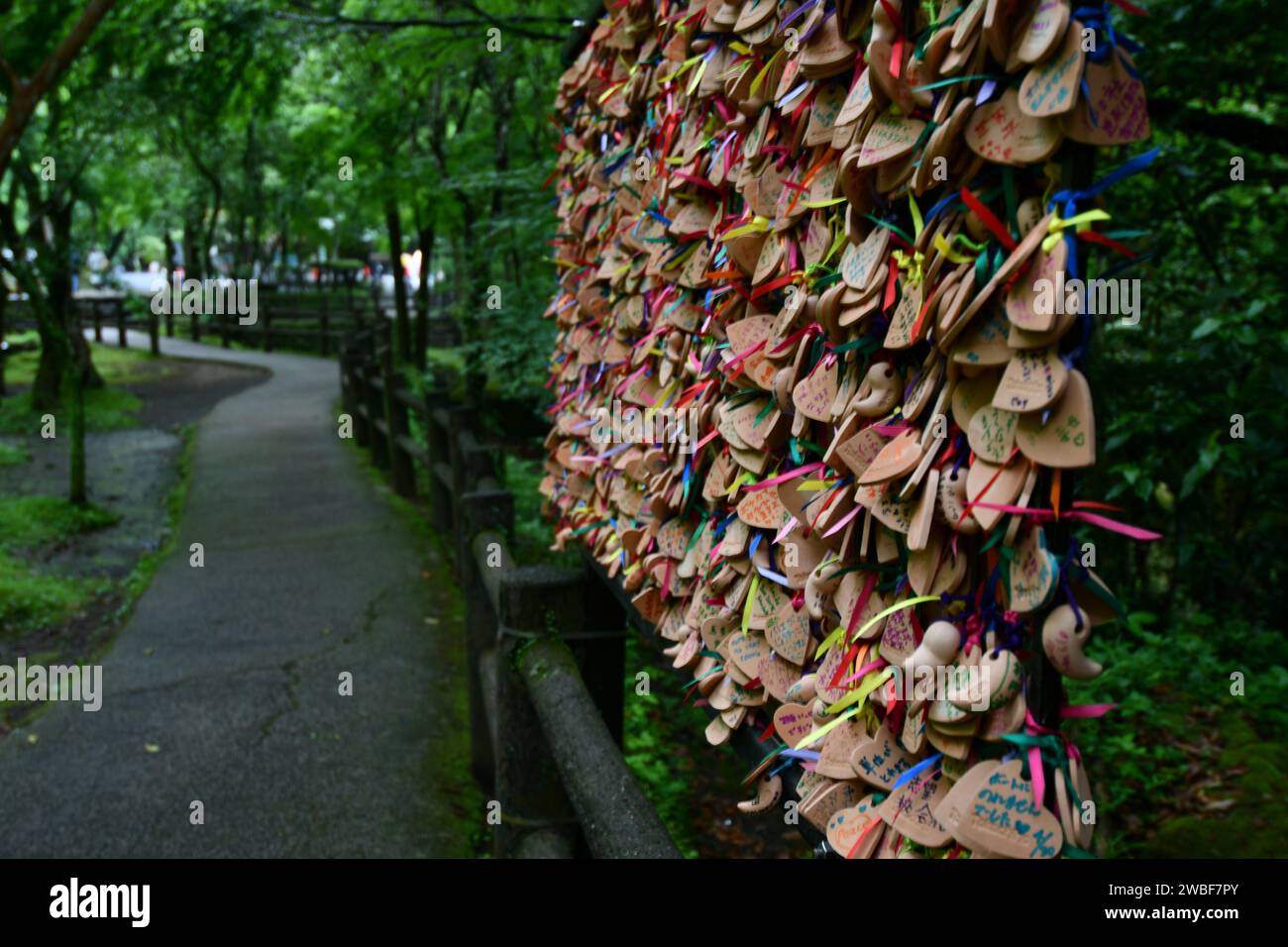 Rope tied to tree hi-res stock photography and images - Alamy