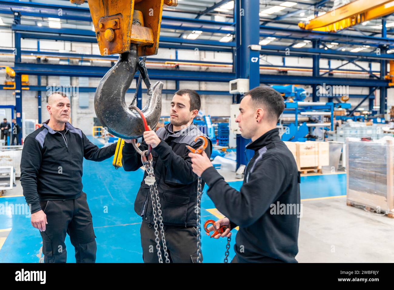 Team of engineers and manual workers using an industrial cane in a ...
