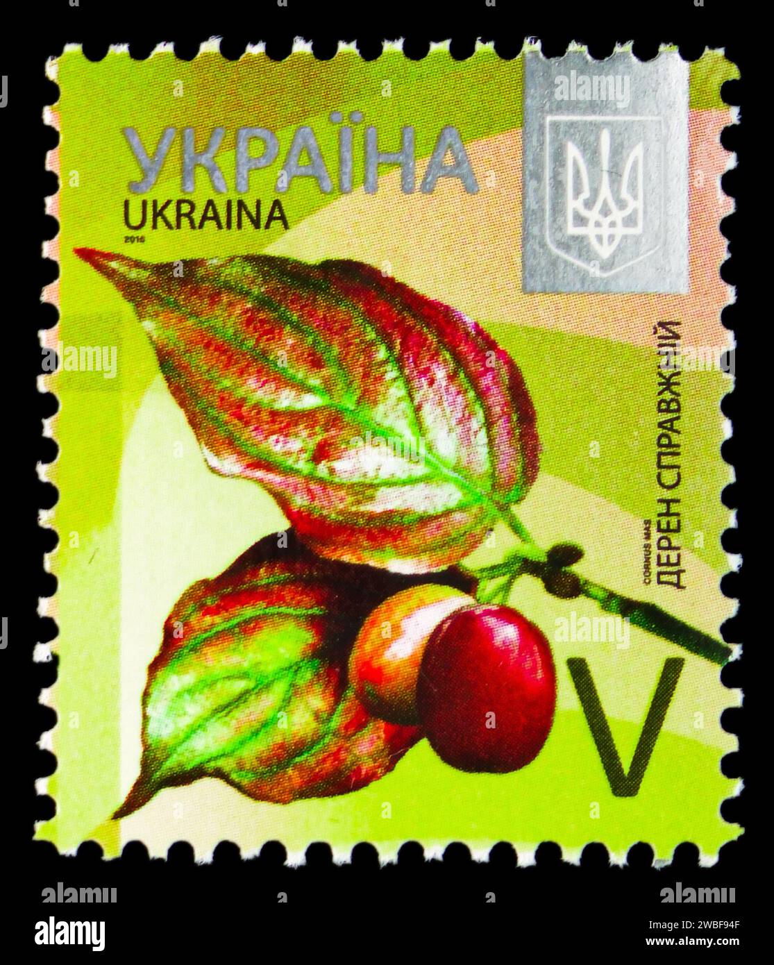 MOSCOW, RUSSIA - DECEMBER 17, 2023: Postage stamp printed in Ukraine ... MOSCOW, RUSSIA - DECEMBER 17, 2023: Postage stamp printed in Ukraine ...
