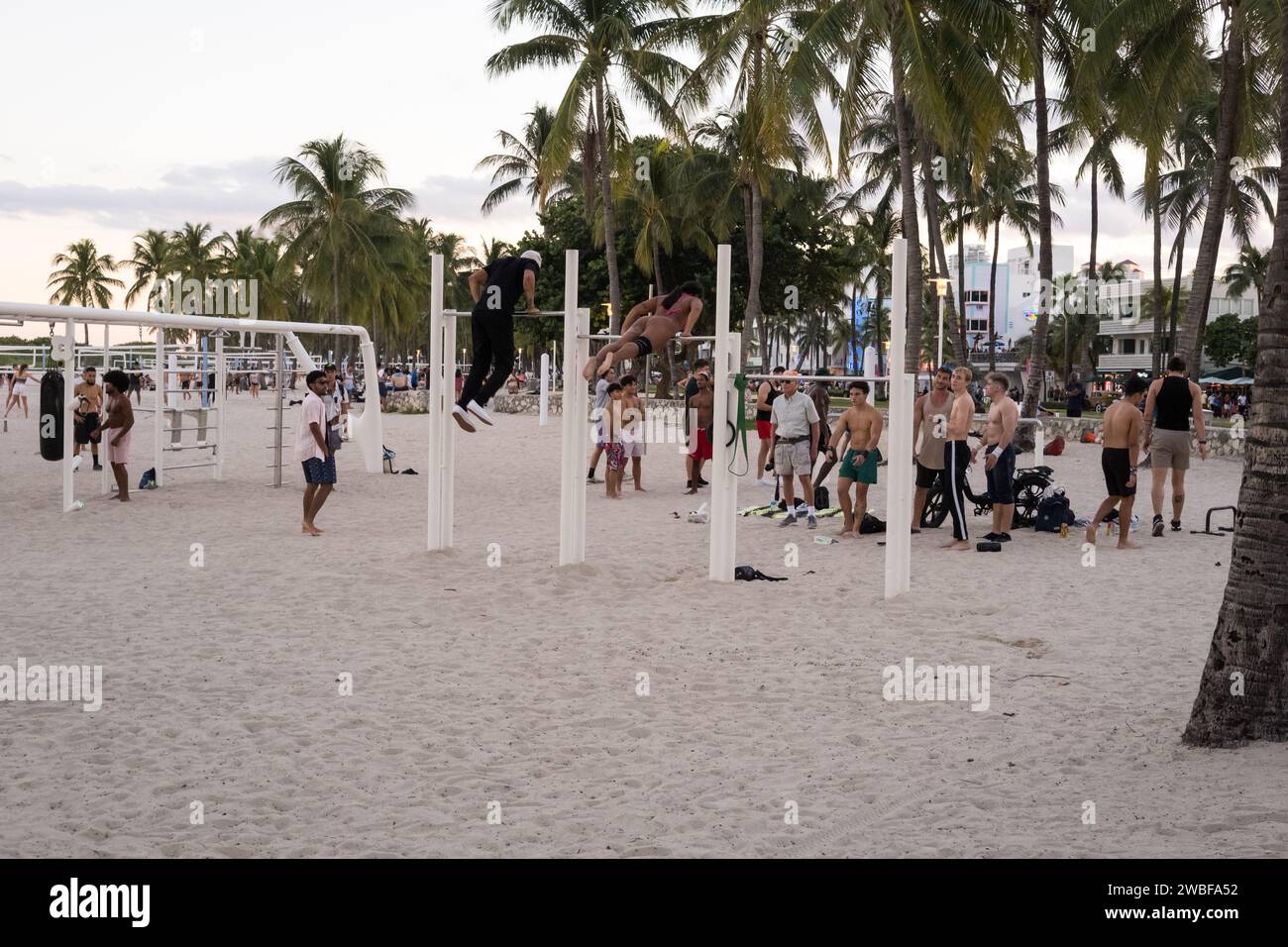Miami, USA. 21th Oct, 2023. Muscle beach on South beach Stock Photo - Alamy