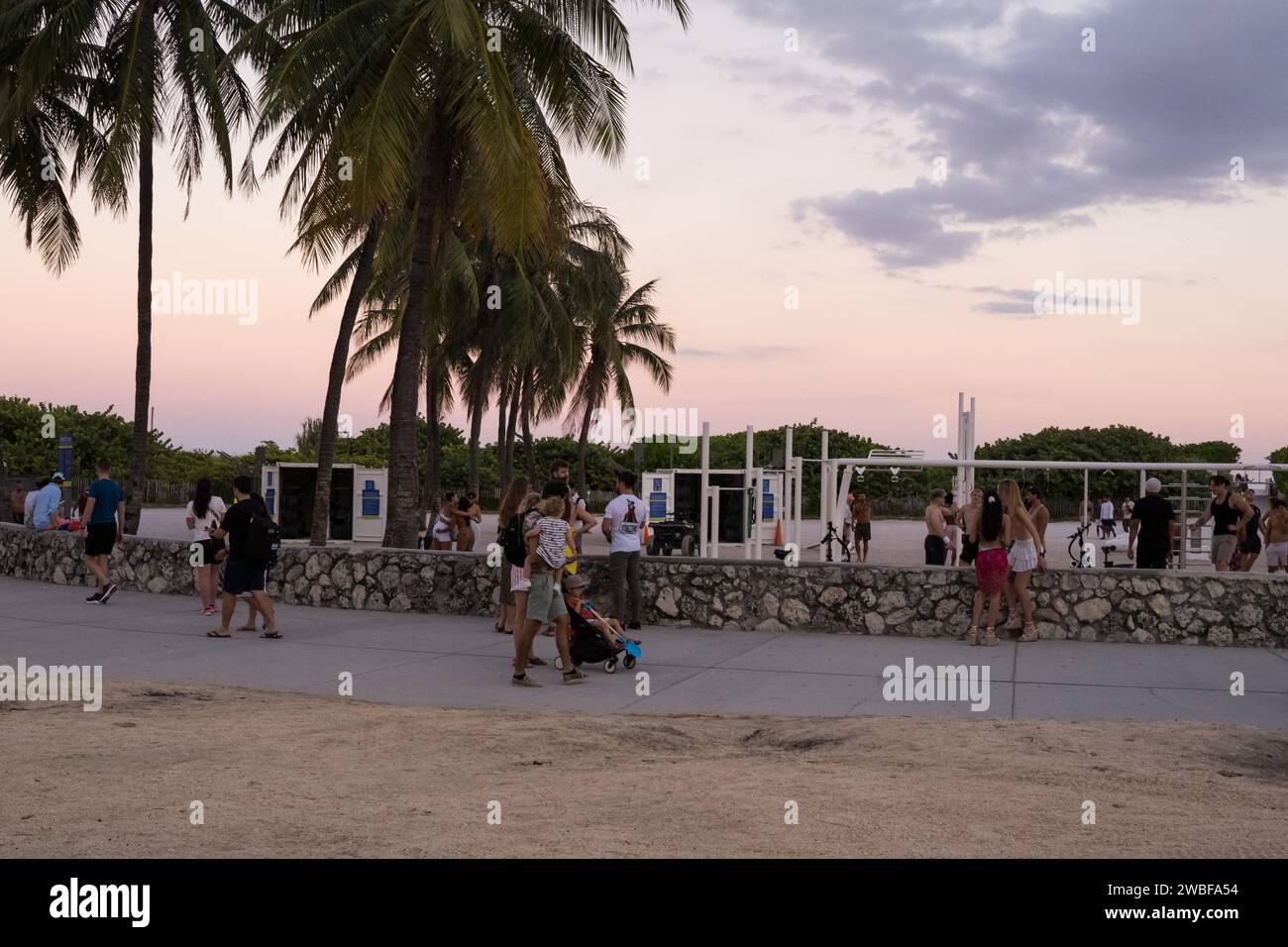 Muscle beach florida hi-res stock photography and images - Alamy