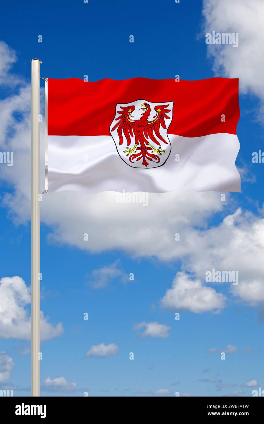 The flag of Brandenburg, state flag, studio Stock Photo - Alamy